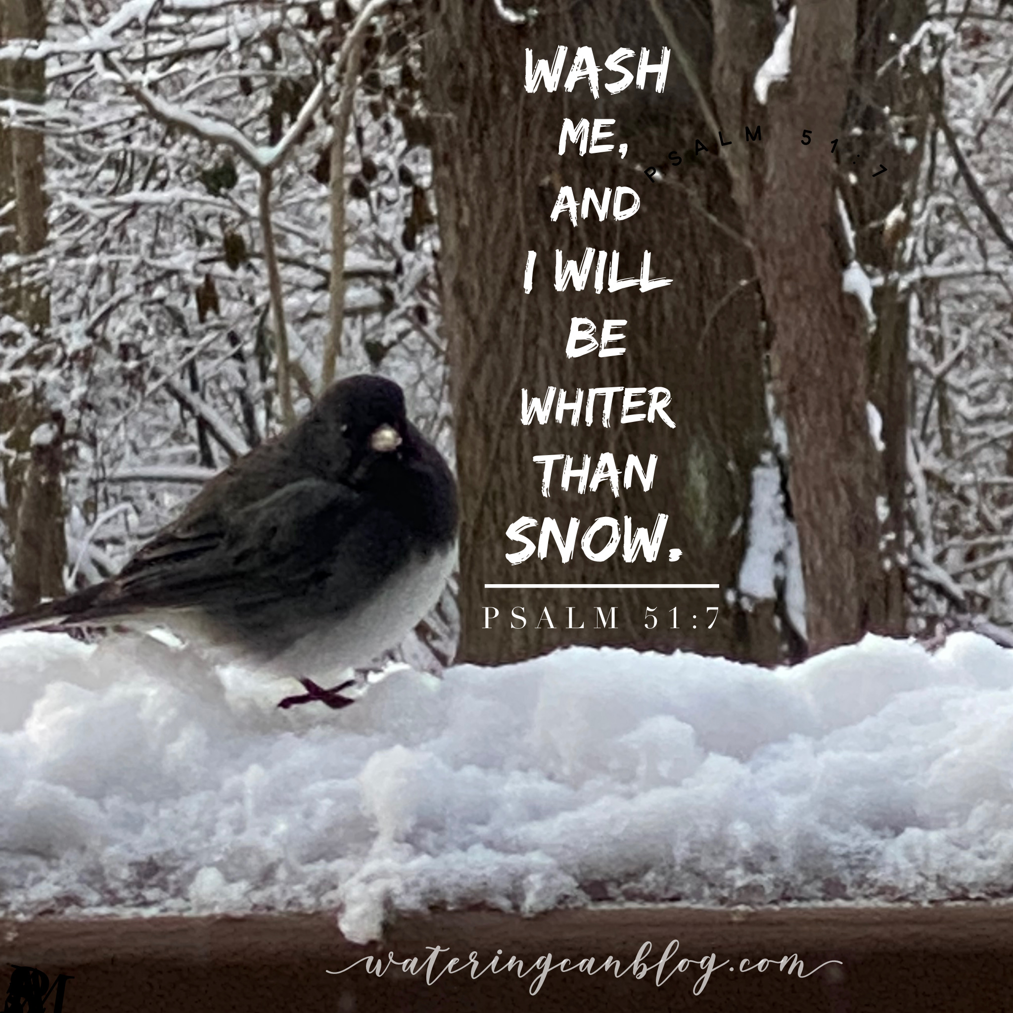 Washed Clean - The Mystery of Faith
